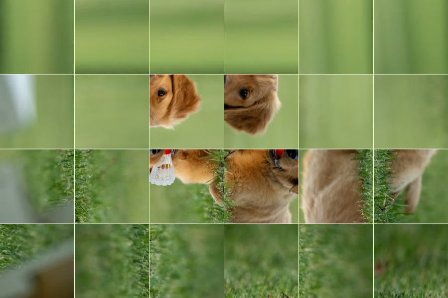 Rotaboxes - the daily photo puzzle game