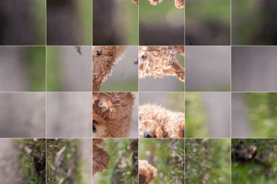 Rotaboxes - the daily photo puzzle game