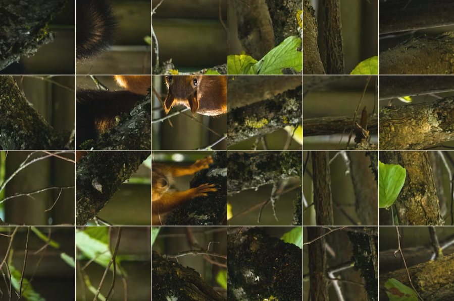 Rotaboxes - the daily photo puzzle game