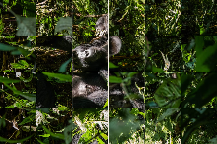 Rotaboxes - the daily photo puzzle game