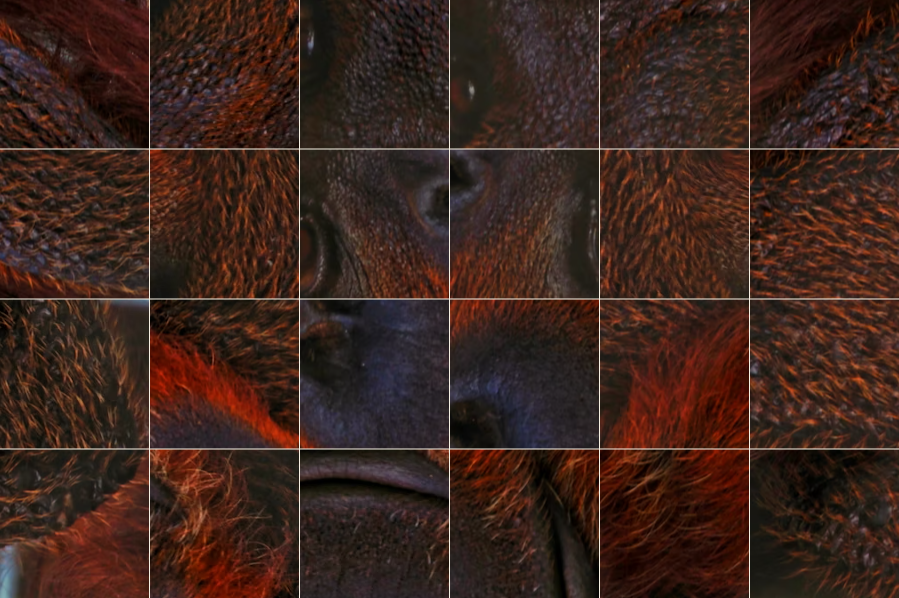 Rotaboxes - the daily photo puzzle game