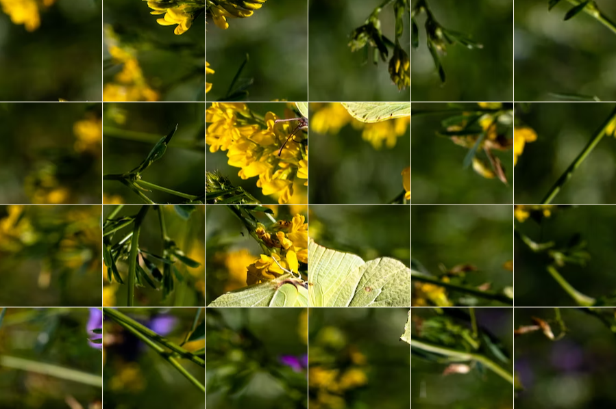 Rotaboxes - the daily photo puzzle game