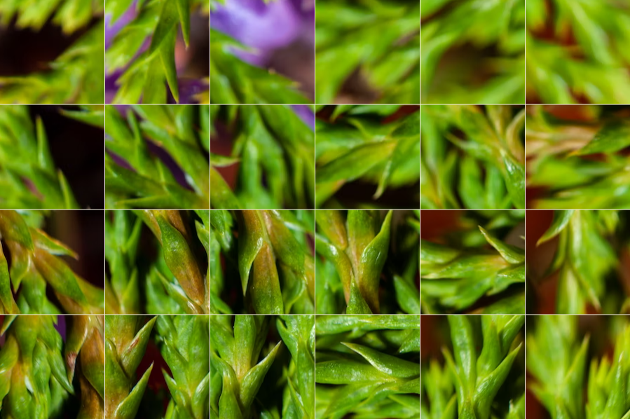 Rotaboxes - the daily photo puzzle game